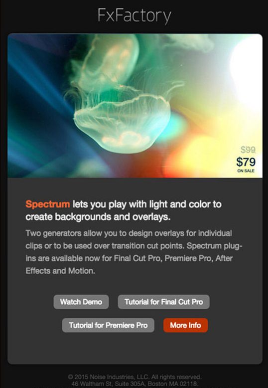 The 97 Best Email Marketing Campaign Examples | Campaign Monitor