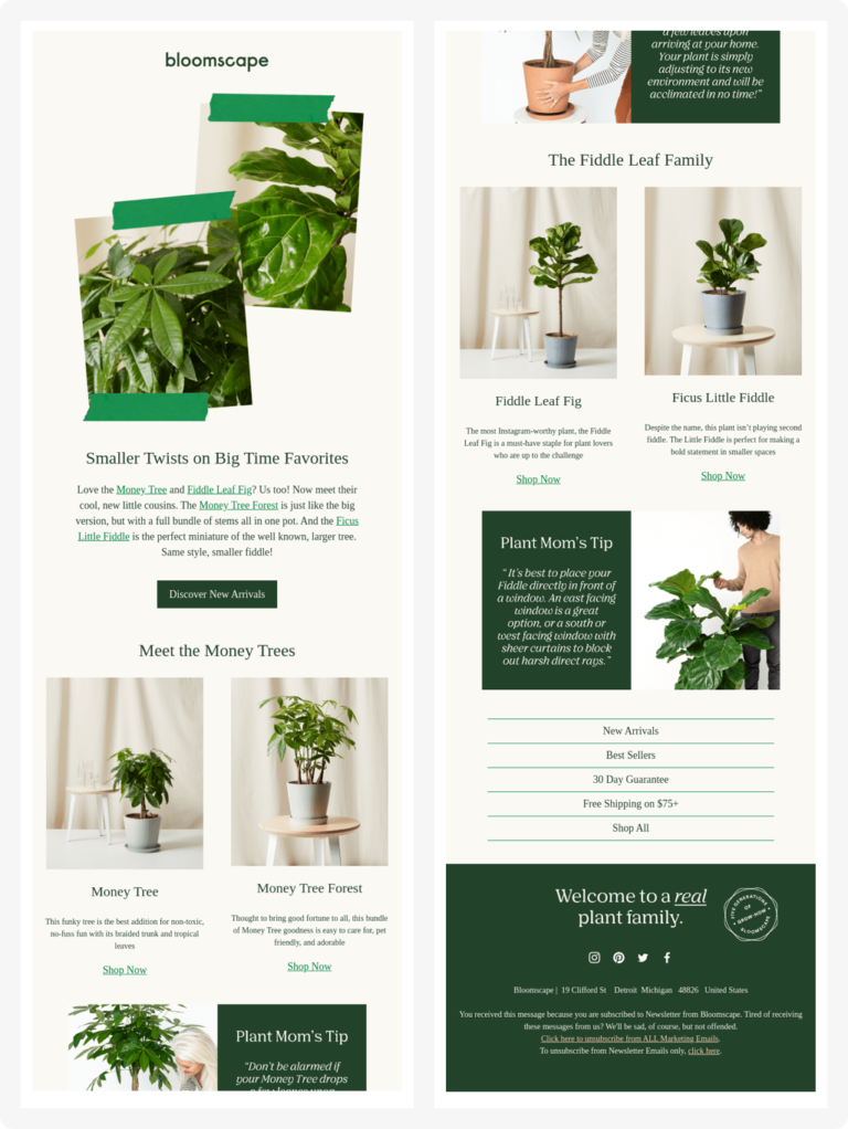 15 Amazing Email Newsletter Examples (and Why They Work) | Campaign Monitor