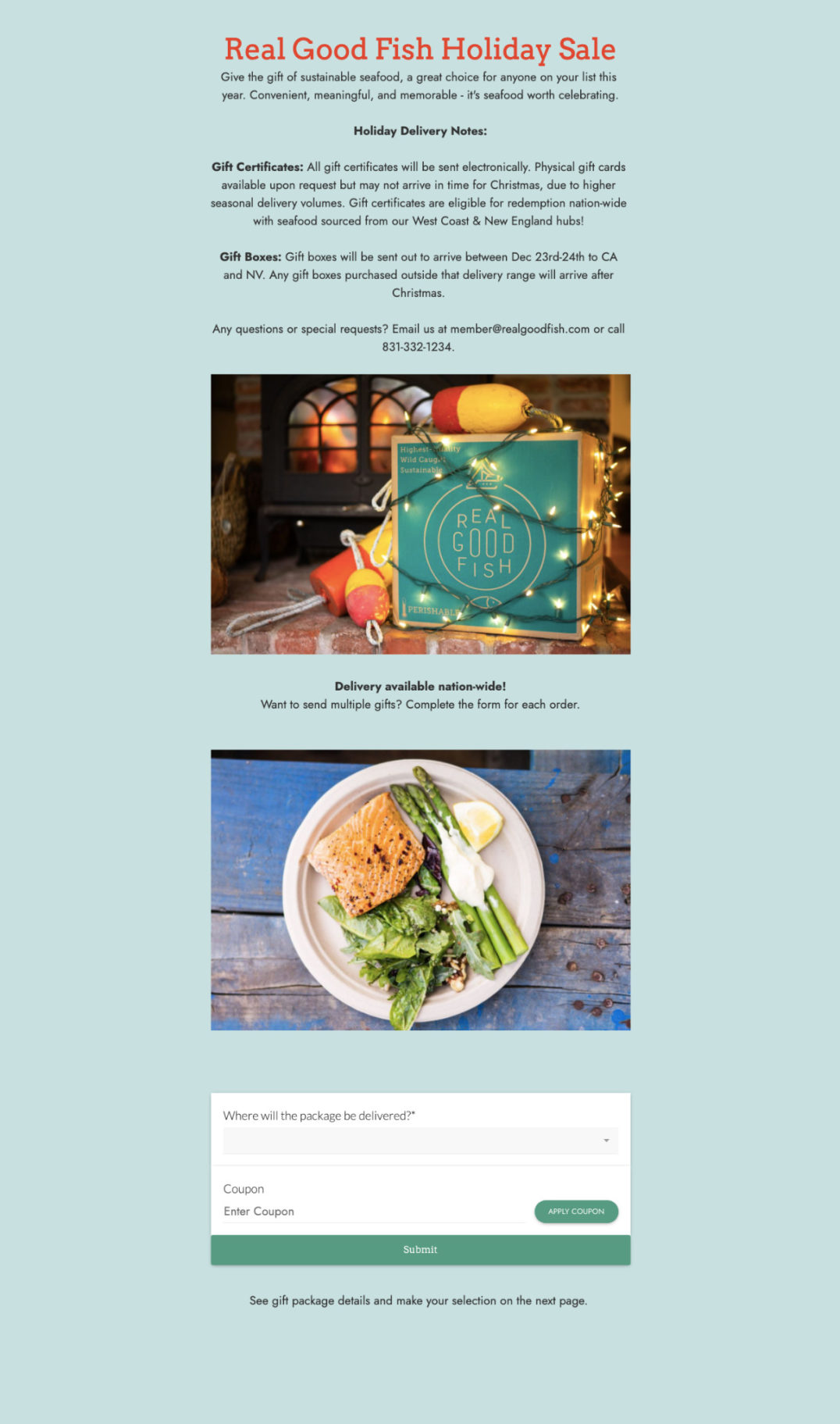 2021's Guide to Holiday Email Marketing | Campaign Monitor